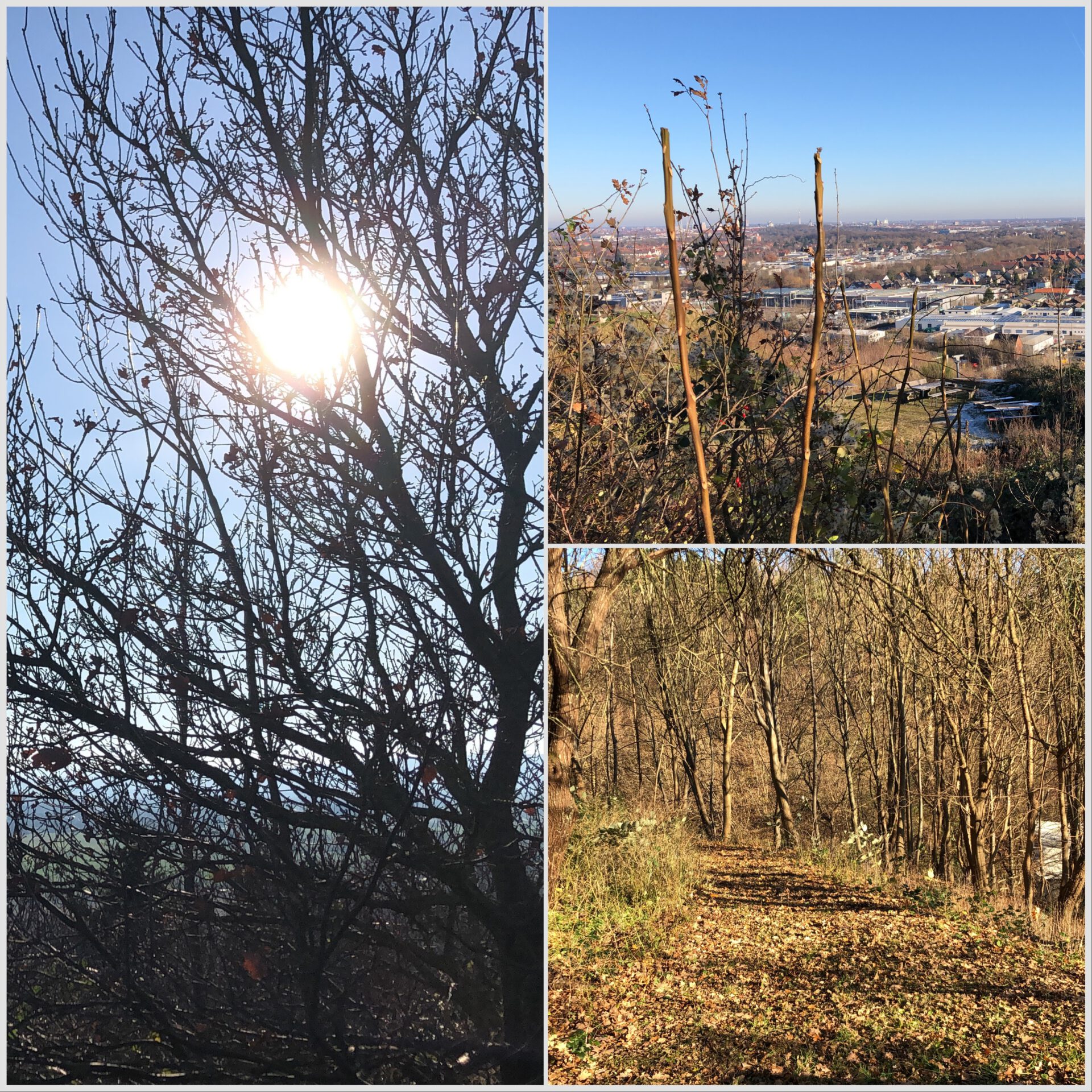 Waldberg Empelde